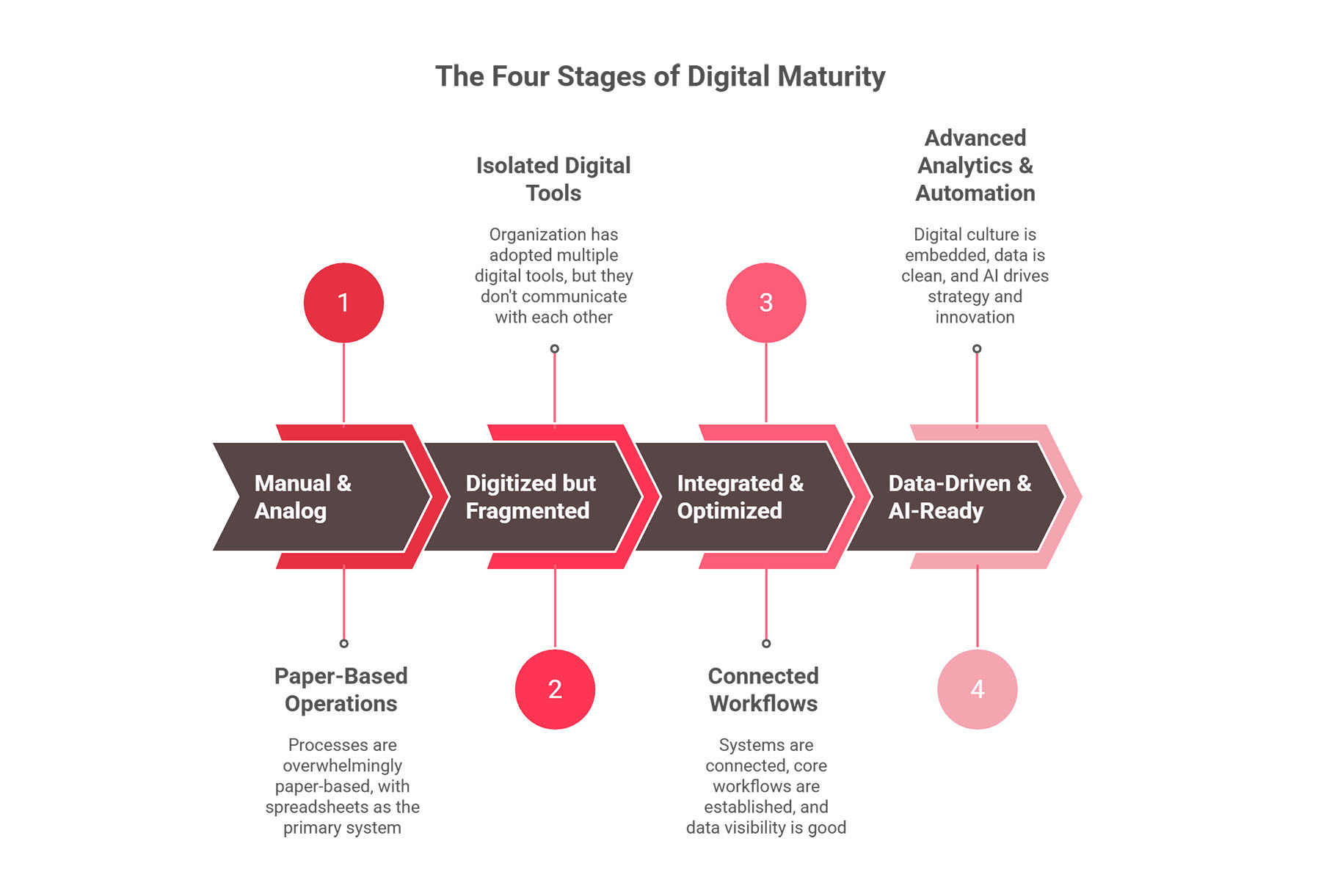The 4 Digital Maturity Stages: Where Does Your Business Stand? | Agmis